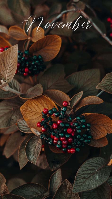 [200 ] Aesthetic November Wallpapers