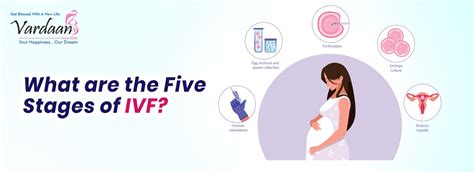The Journey Of Ivf Understanding The Five Stages Vardaan Medical Center
