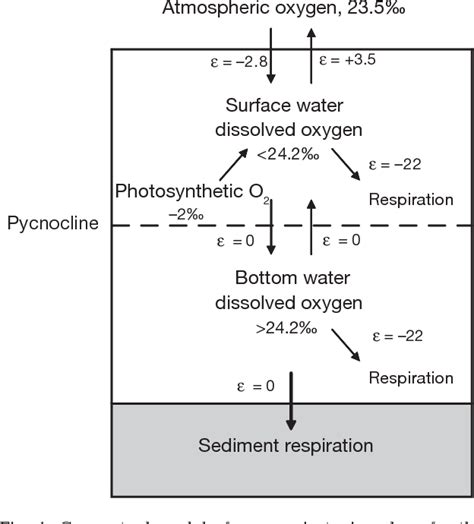 Figure From Partitioning Oxygen Sources And Sinks In A Stratified
