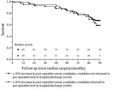 Kaplan Meier Survival Curves For Patients With Postoperative Renal Download Scientific Diagram