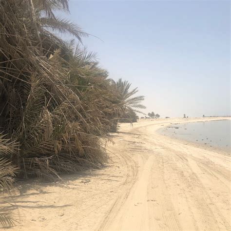 Umm Bab Beach 2024 All You Need To Know Before You Go With Photos