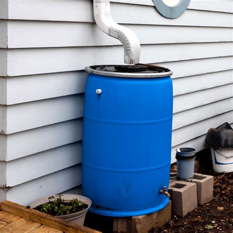 Rain Barrels Indiana At Willis Beane Blog