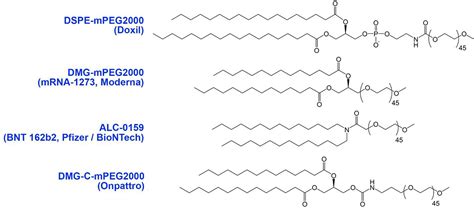 What Are Peg Lipids At Booker Zuniga Blog