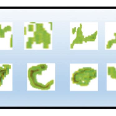 Typical Wear Particle Images Acquired In Experiments A Nonmetallic