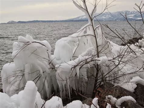 스플래시 얼음 의 교통수단・영업시간・주변 명소 일본의 미디어 Matcha