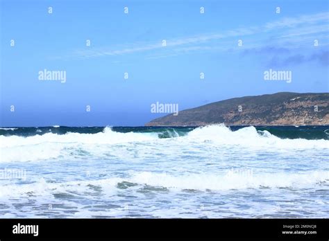 September 27 2022 Plettenberg Bay In South Africa Holiday Makers