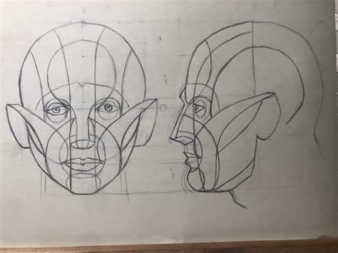 Es necesario usar el método Loomis antes de dibujar un rostro Serey