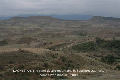 DAGHESTAN HERP TRIP (North Caucasus, Russia) 2008 pictures - Field Herp ...
