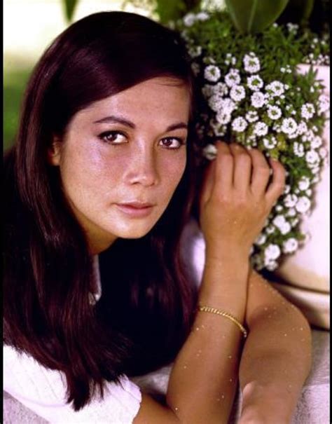Nancy Kwan Biography Imdb