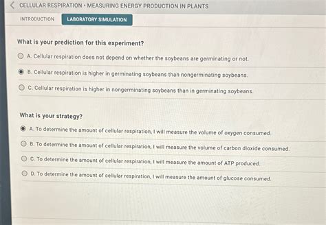 Solved Cellular Respiration Measuring Energy Production Chegg