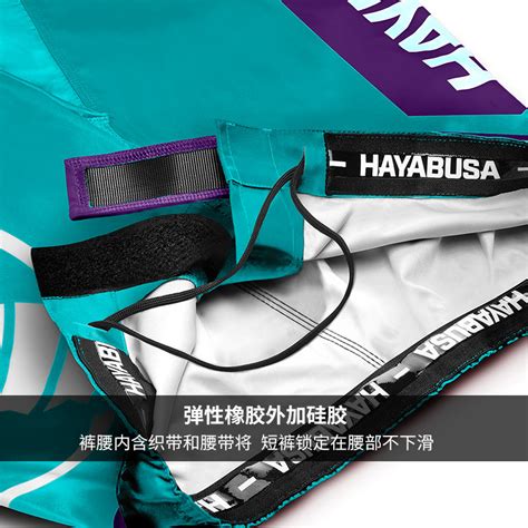 Hayabusa Mma