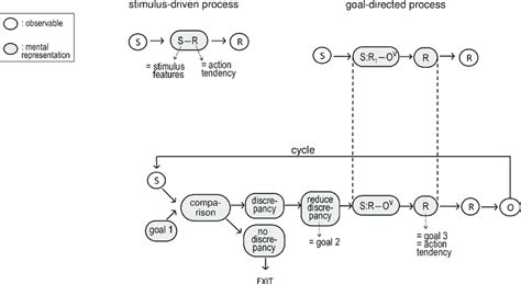 Visual Representation Of The Stimulus Driven Top Left And Download Scientific Diagram
