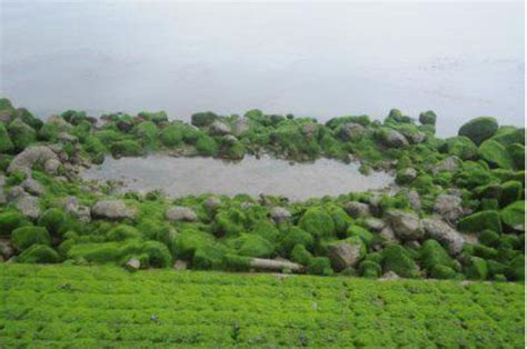 Example Of A Man Made Tidal Pool That Could Be Used As A Cooling And