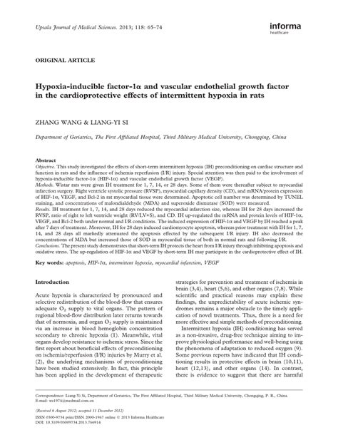 Pdf Hypoxia Inducible Factor 1α And Vascular Endothelial Growth