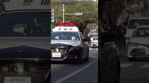 【緊急走行】違反を現認した警察官が一般車を止めパトカーが出撃連携プレーで違反者を検挙する取締りの一部始終shorts 世界の