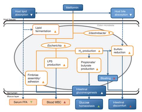Drug Confounders In Microbiome Analysis Metagenopolis