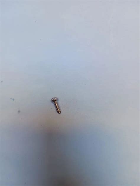 3mm Titanium Bone Screw At Rs 250 Piece Burari New Delhi Id 2853418484062