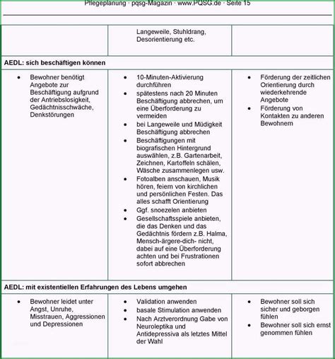 Phänomenal Neues Pflegeplanung Muster Zum Ausdrucken Kostenlos Vorlagen