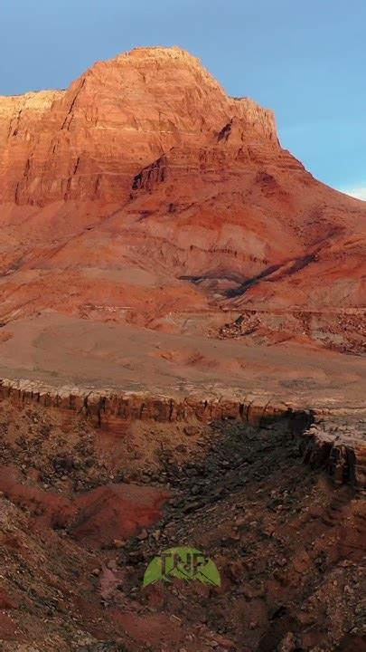 4k Drone Wildlife Videography At Cathedral Wash Vermilion Cliffs The