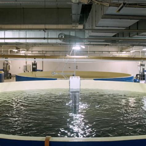 Recirculating Aquaculture System China Recirculating Aquaculture