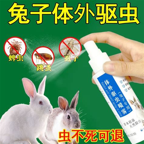Rabbit Deworming Medicine Vitro Insecticide Addition To Fleas Lice