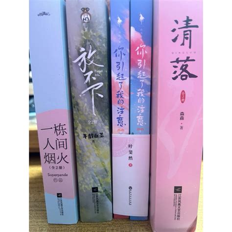 【二手書】一棟人間煙火 放不下 你引起了我的注意 清落 兩冊全 簡體書 言情小說 蝦皮購物