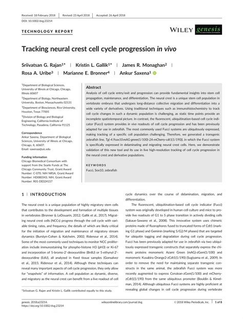 Pdf Tracking Neural Crest Cell Cycle Progression In Vivo · 1