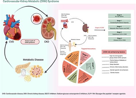 Cardiovascular Kidney Metabolic (CKM) Syndrome