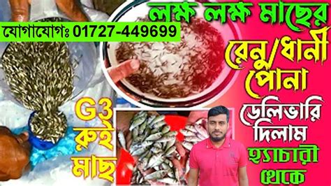 সকল বাংলা মাছের ধানী পোনা কোথায় পাবেন ও দাম কত জানুন বাংলাদেশের সব