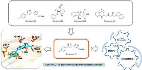 Discovery And Biological Evaluation Of Cd147 N Glycan Inhibitors A New