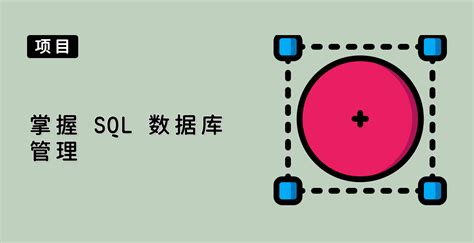 项目 掌握 Sql 数据库管理 Labex