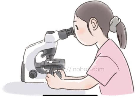 Veterinarynurse Microscope いのぼんイラスト制作所