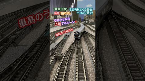 うねり入線‼︎ 大きくうねりながらe257系2000番台2500番台が走行、入線するシーンを再現‼︎ Nゲージ 特急踊り子 Jr東