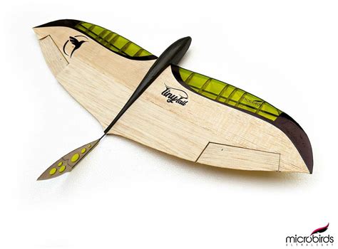 Tiny Tail Rc Glider Free Flight Glider Red Tail Hawk Inspired