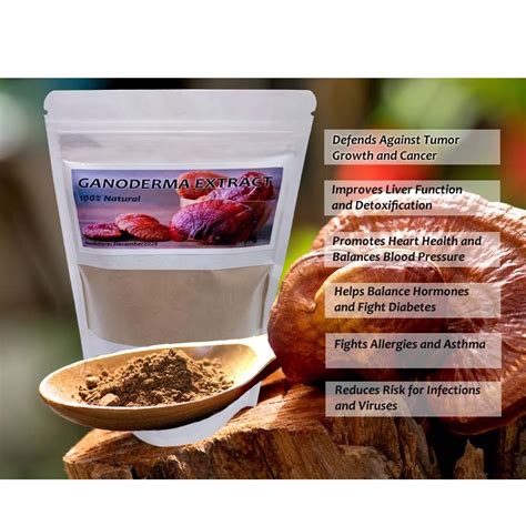 Ganoderma Extract Powder 250g Premium Quality Shopee Philippines