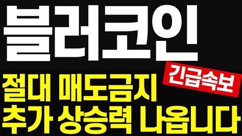 블러코인 오히려 매수 찬스 Youtube