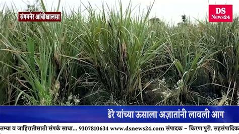 आधीच पिकाला बाजारभाव नसल्याने शेतकरी बेजार त्यातच अज्ञातांनी लावली
