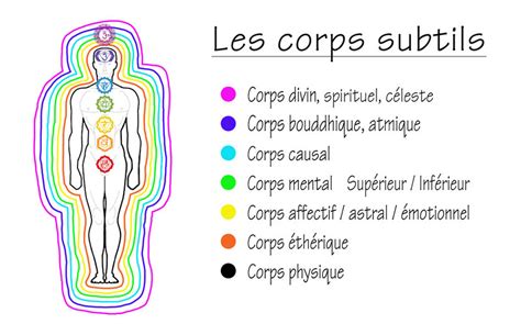 Les différents corps d énergie L Energie libre et universelle du Reiki