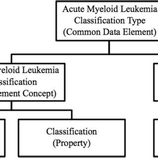 Example Of CDE Structure The CDE Structure For A Data Element Download Scientific Diagram