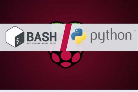 bash vs python sur raspberry pi quand les utiliser raspberrytips