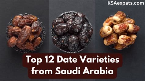 Best 25 Different Types Of Dates In Saudi Arabia Kurma 48 Off