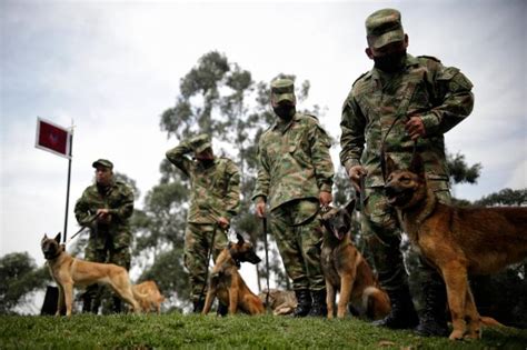 Ong Denuncia 161 Casos De Violencia Policial En Colombia Entre Enero Y