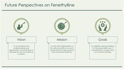 Fenethylline Benefits Uses And Risks Explained Ppt Template St Ai Ppt