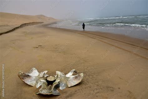 Foto De A Hiker Walking Past A Pelvic Bone Of A Whale That Washed Ashore In The Namib Desert Do