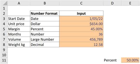 Formatting Input Cells In Excel A4 Accounting