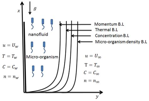 Symmetry Free Full Text Second Grade Bioconvective Nanofluid Flow With Buoyancy Effect And