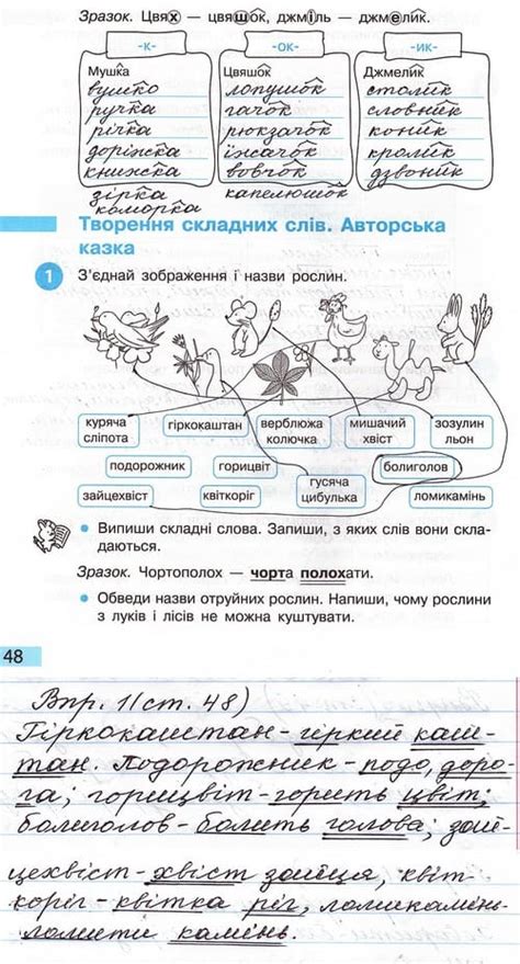 Сторінка 48 частина 1 гдз 4 клас робочий зошит українська мова