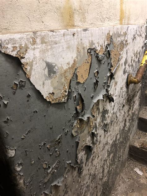 Lead Paint Detector At Mary Loomis Blog