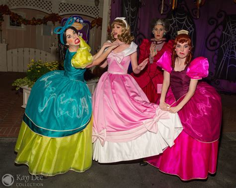 Kay Dee Collection Costumes Cinderella Pink Dress Cosplay