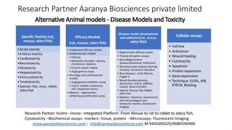 Cosmetic Testing Services At ₹ 7500 Sample In Chennai Id 2852594409997